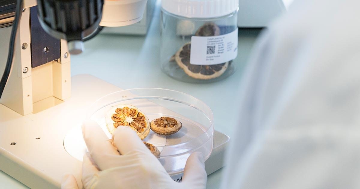 Unser Qualitätsversprechen- Complemedis AG