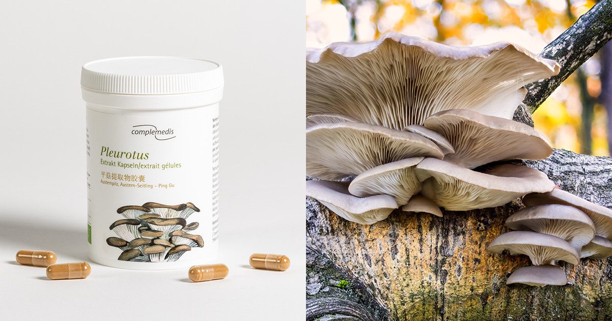 Vitalpilze - Extrakt Kapseln von Complemedis AG